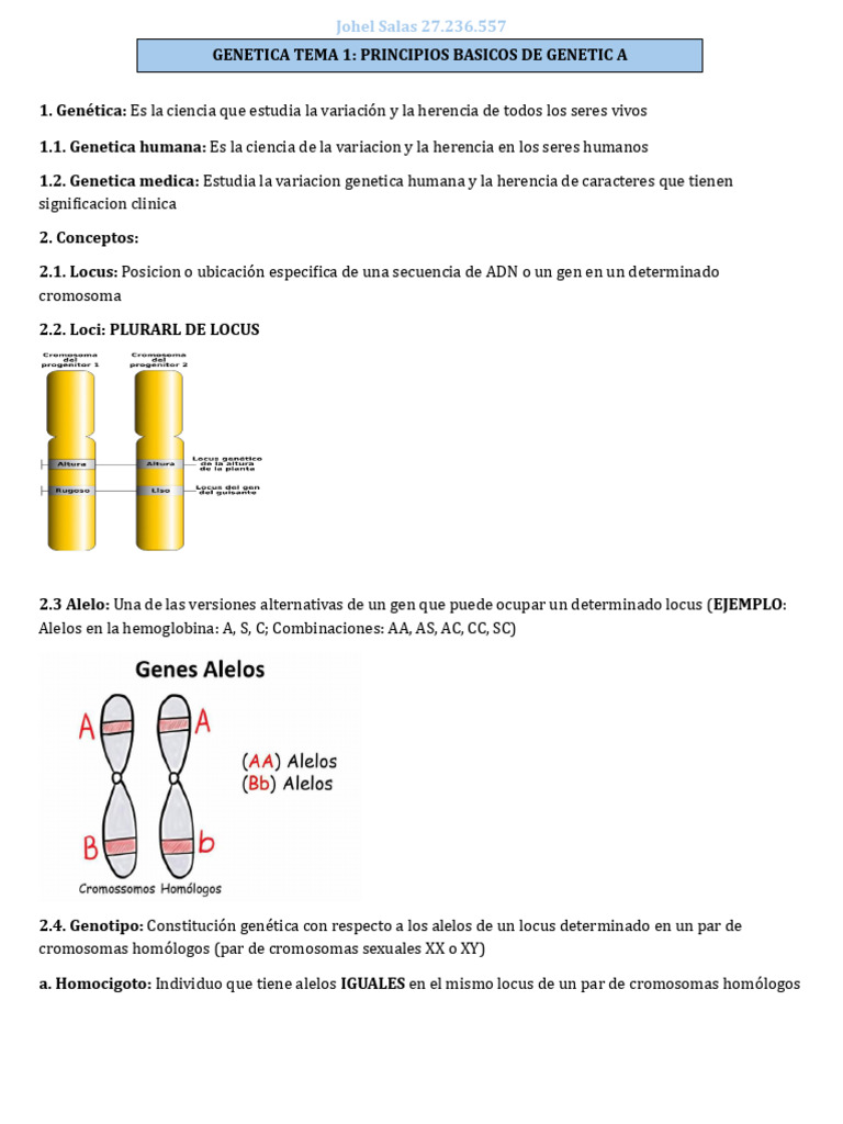 Genetica Tema 1 Principios Basicos de Genetica | PDF | Dominancia ...