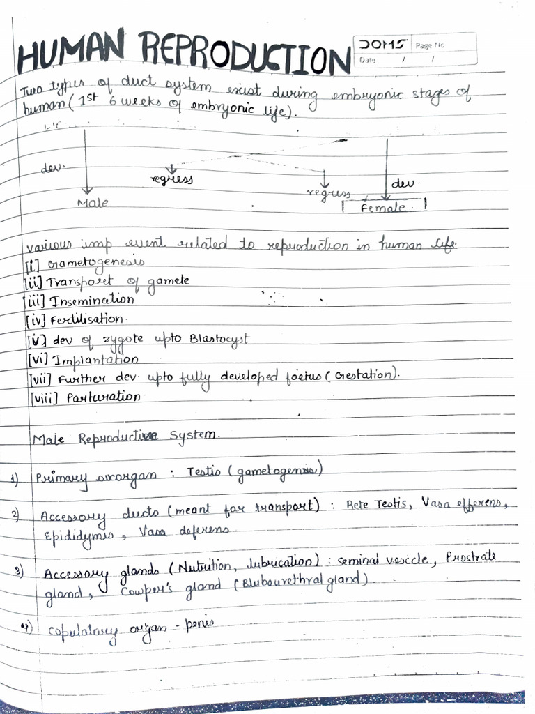 Human Reproduction | PDF | Sexual Anatomy | Reproductive System