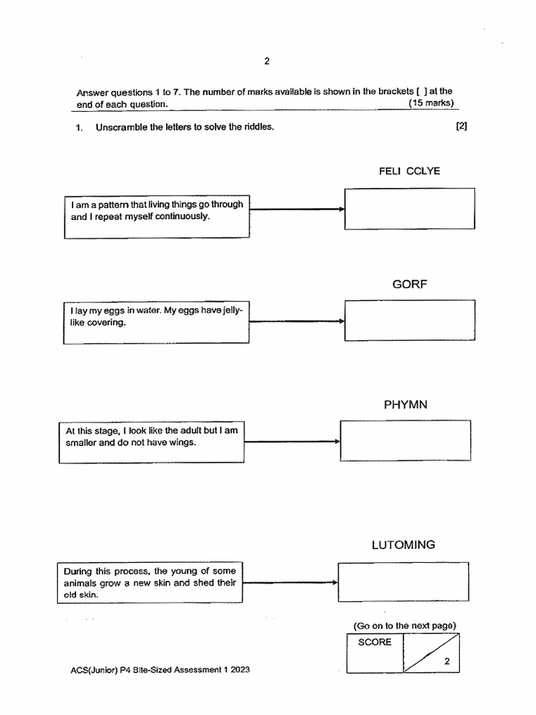 P4 Science 2023 | PDF