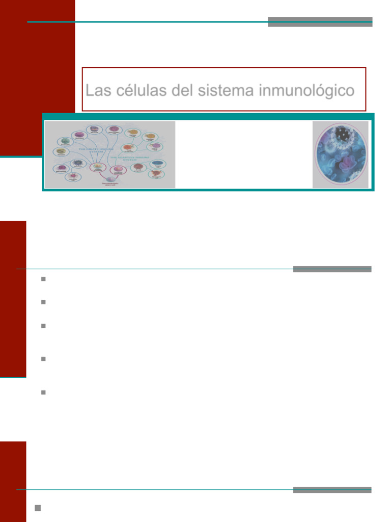 Células Del Sistema Inmunológico | PDF | Hematopoyesis | Linfocitos