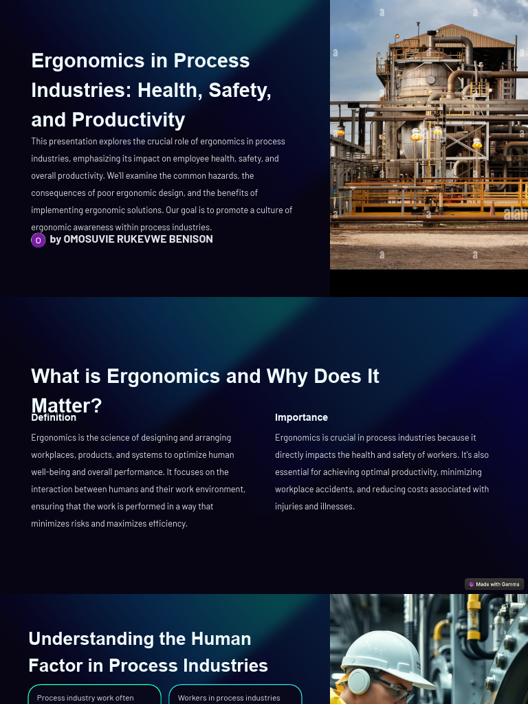 Ergonomics in Process Industries Health Safety and Productivity | PDF ...