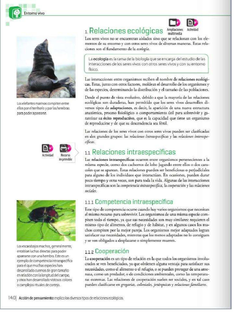 Relaciones Ecologicas | PDF