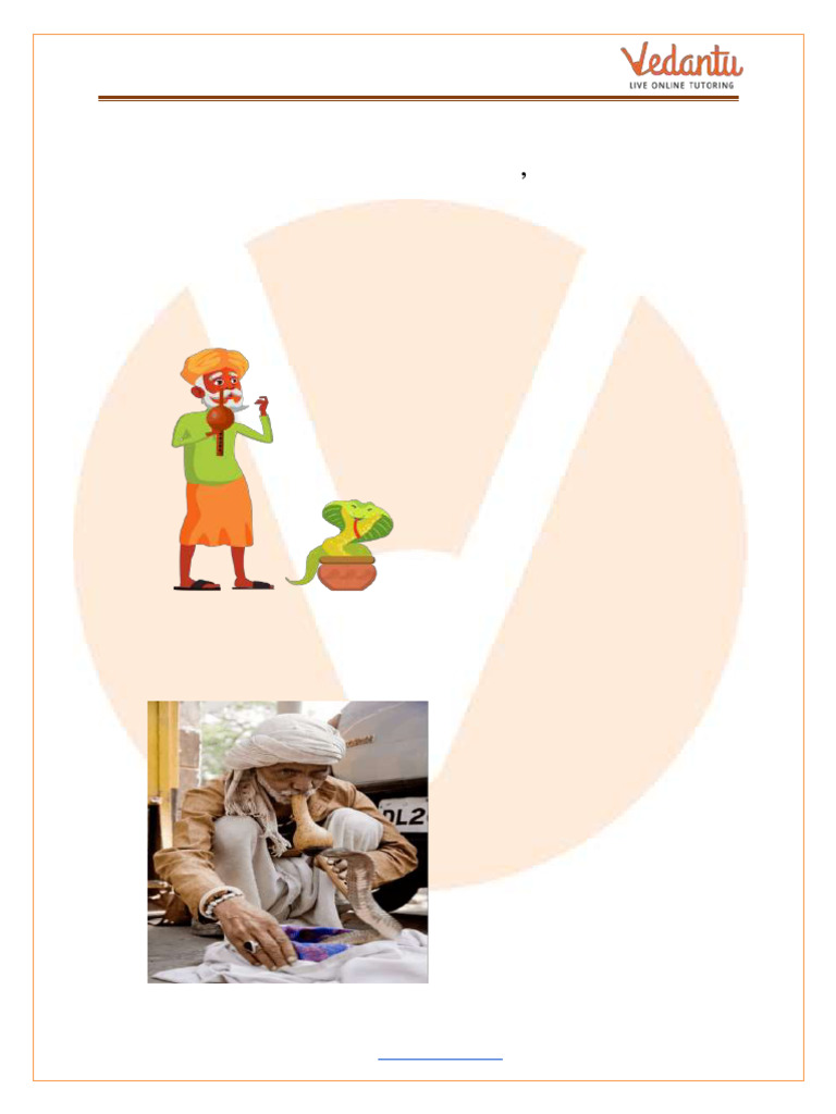 CBSE Class 5 EVS Worksheet Chapter 2 A Snake Charmer's Story - Download Free PDF | PDF | Snake