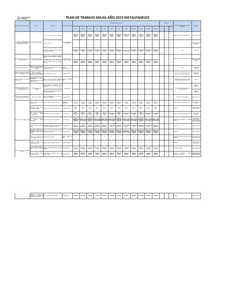 Anexo 4. Plan de Trabajo Anual | PDF | Auditoría | Valores