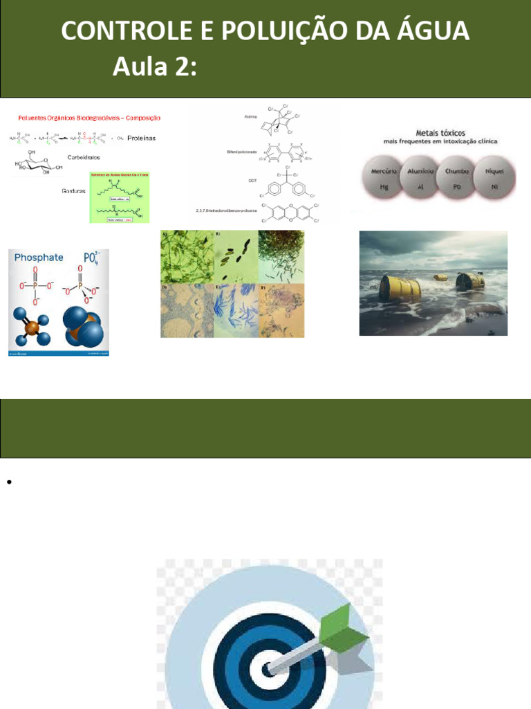 Aula 2 Principais Polentes | PDF | Vida | Poluição da água