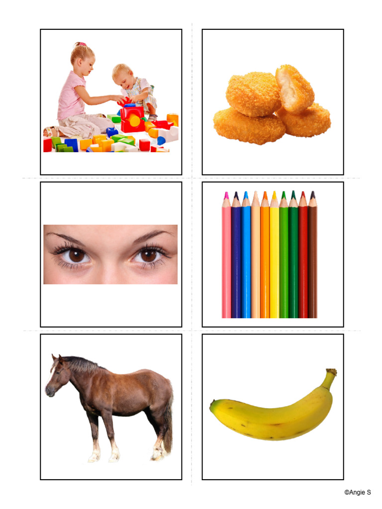Flashcards FREE Sample - No Labels | PDF