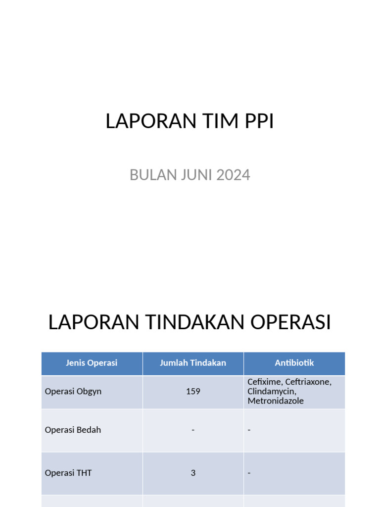 Laporan Ppi Juni 2024 | PDF