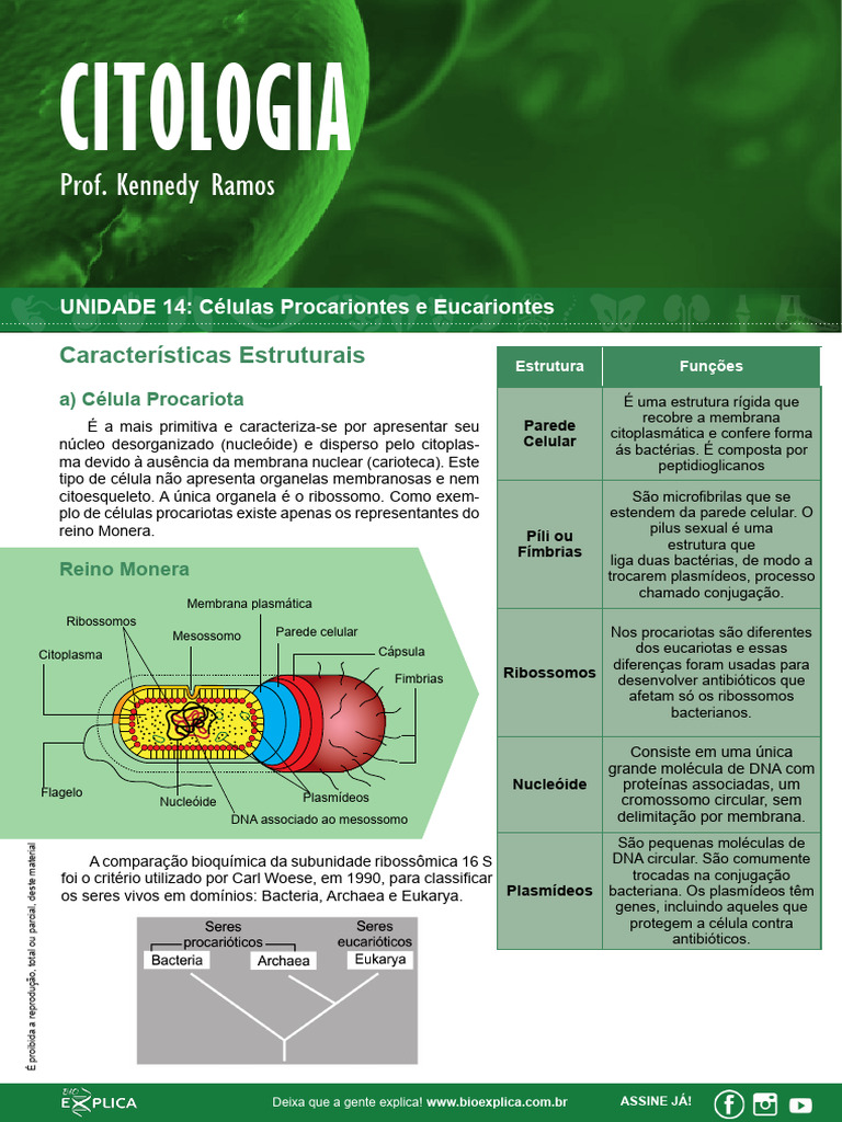Apostila Celula Procarionte Vs Eucarionte | PDF | Célula (Biologia) | Eucariotas