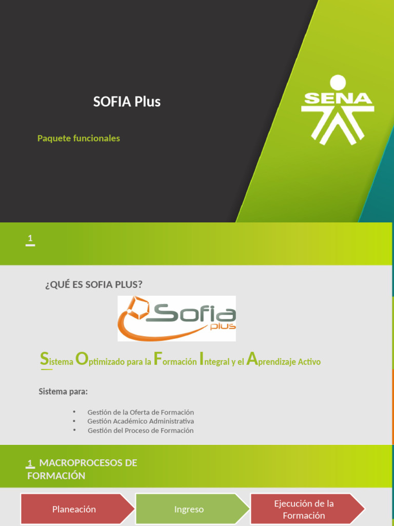 Sofia Plus: Paquete Funcionales | PDF | Informática