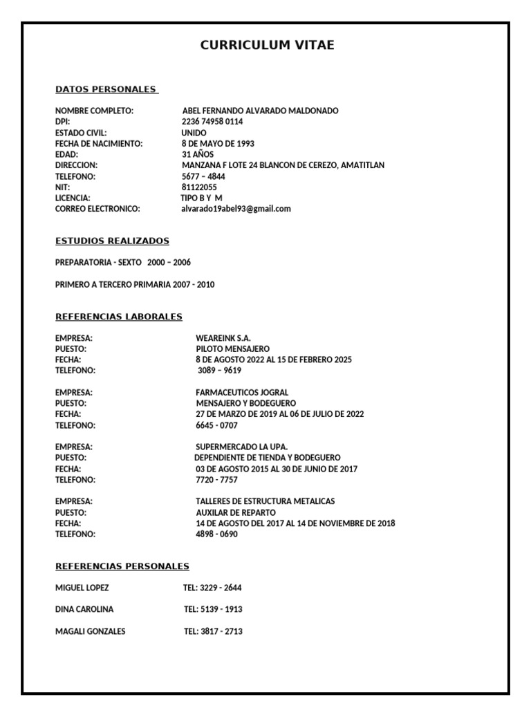 CV Abel Fernando 2025 | PDF