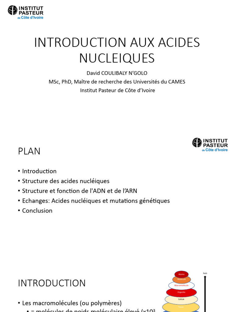 Introduction aux Acides Nucléiques | PDF | Répertoire national des ...