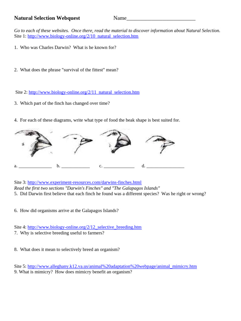 Natural Selection Webquest 2 | PDF | Natural Selection | Biological Concepts