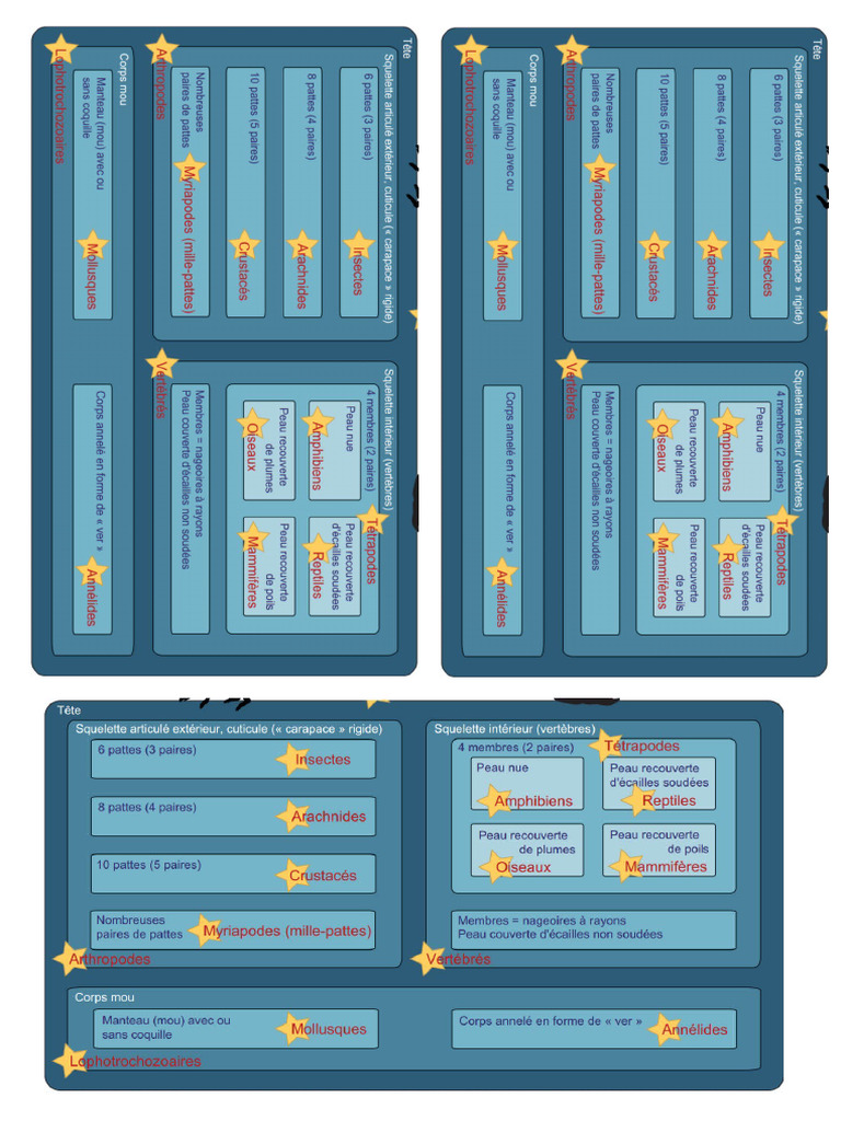 Tableau de classification correction commune | PDF