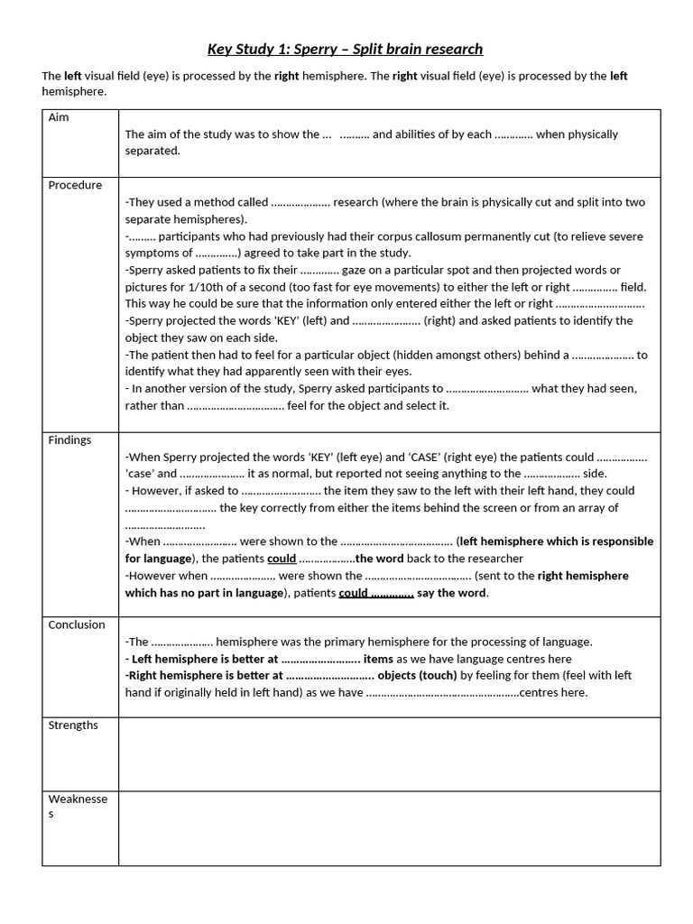Key Study 1 Differentiated Worksheet | PDF | Neuroscience | Nervous System