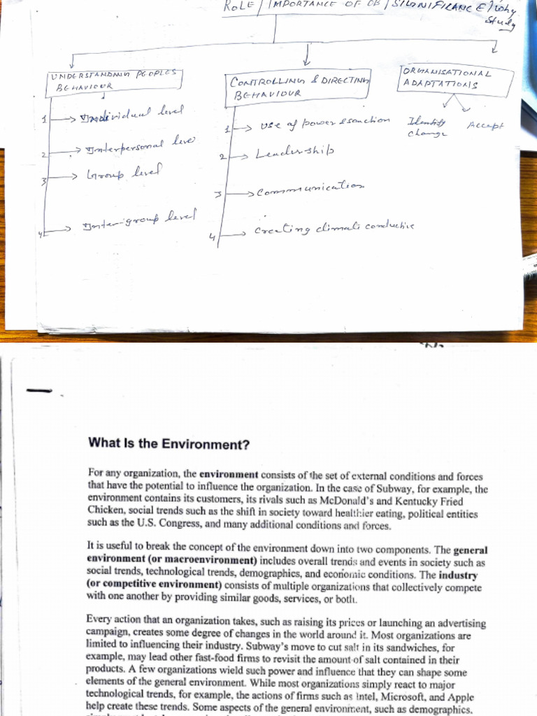 Understanding Organizational Environment | PDF