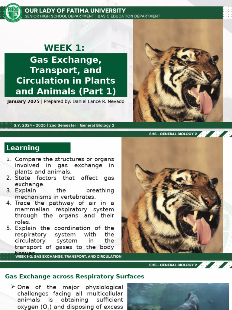 Gas Exchange in Plants and Animals | PDF | Gill | Respiratory System