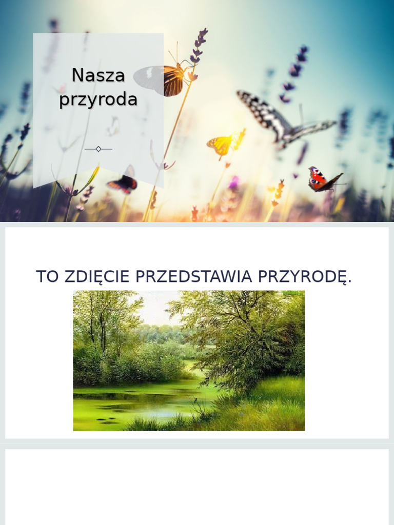 Nasza Przyroda | PDF