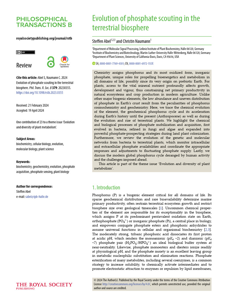 Evolution of Phosphate in Plants | PDF | Phosphate | Weathering