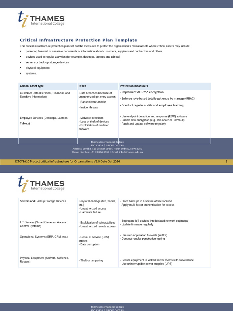 Critical Infrastructure Protection Plan Template | PDF | Denial Of ...
