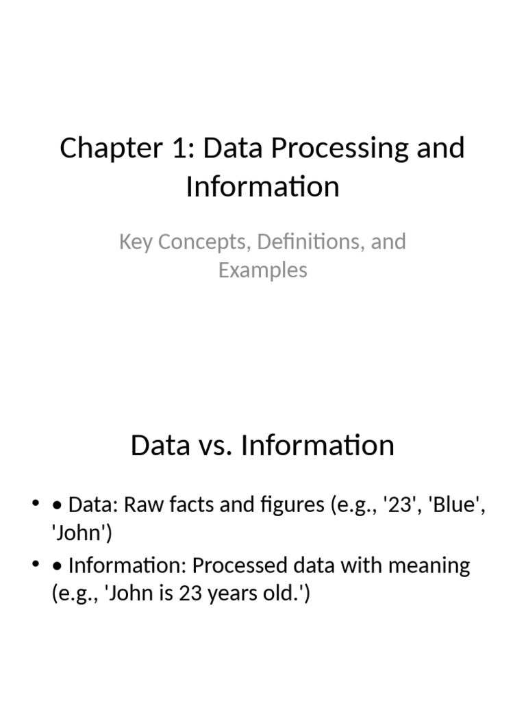 Data Processing Presentation | PDF