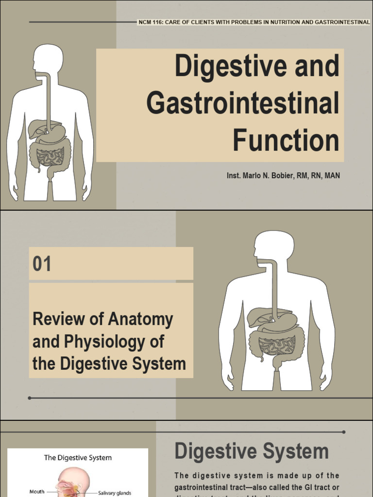I. Digestive and Gastrointestinal Function | PDF | Digestion | Human ...