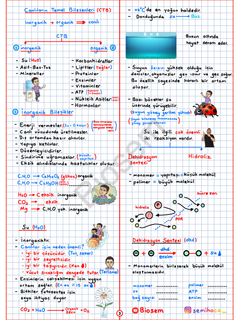 CTB-İnorganik-Biosem | PDF