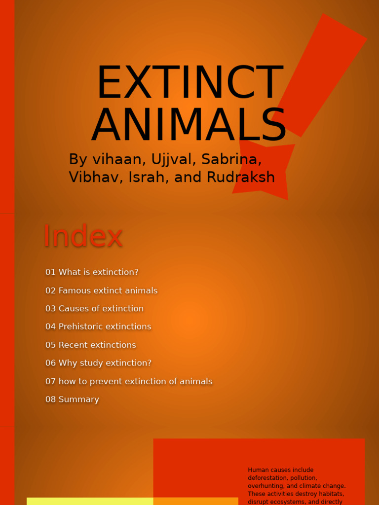 Extinct Animals | PDF | Extinction | Biodiversity