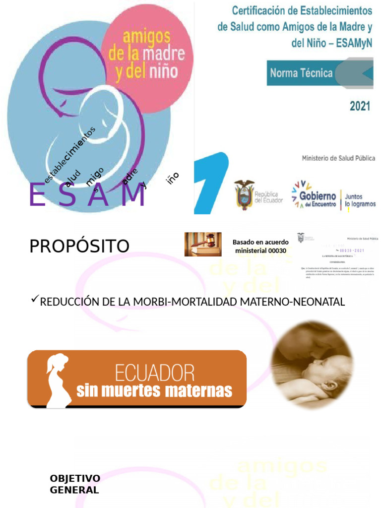 NORMATIVA ESAMyN 2021 | PDF | Parto | Amamantamiento