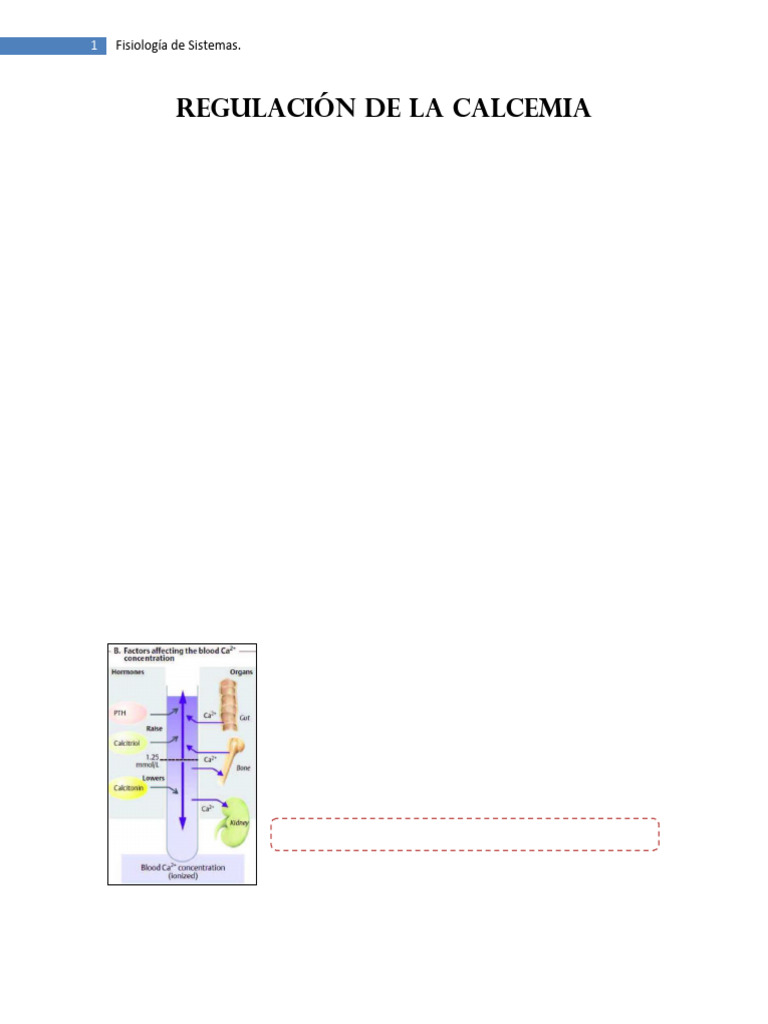 Regulación Hormonal de la Calcemia | PDF | Vitamina D | Calcio