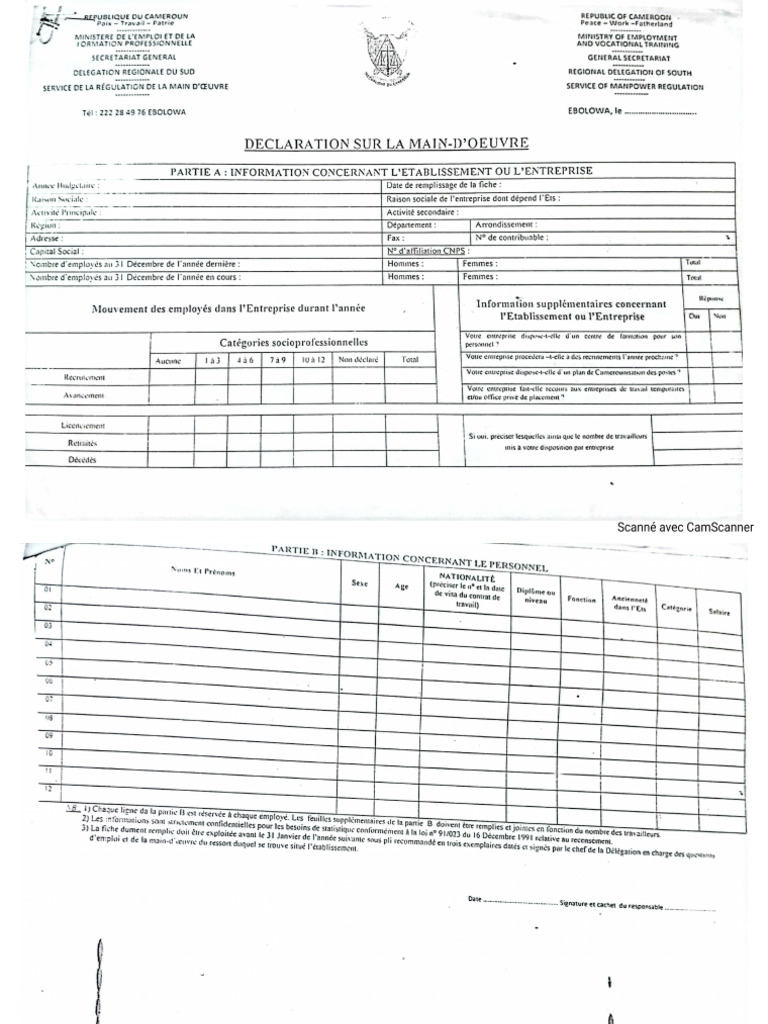 Fichier Declaration Main D Oeuvre | PDF