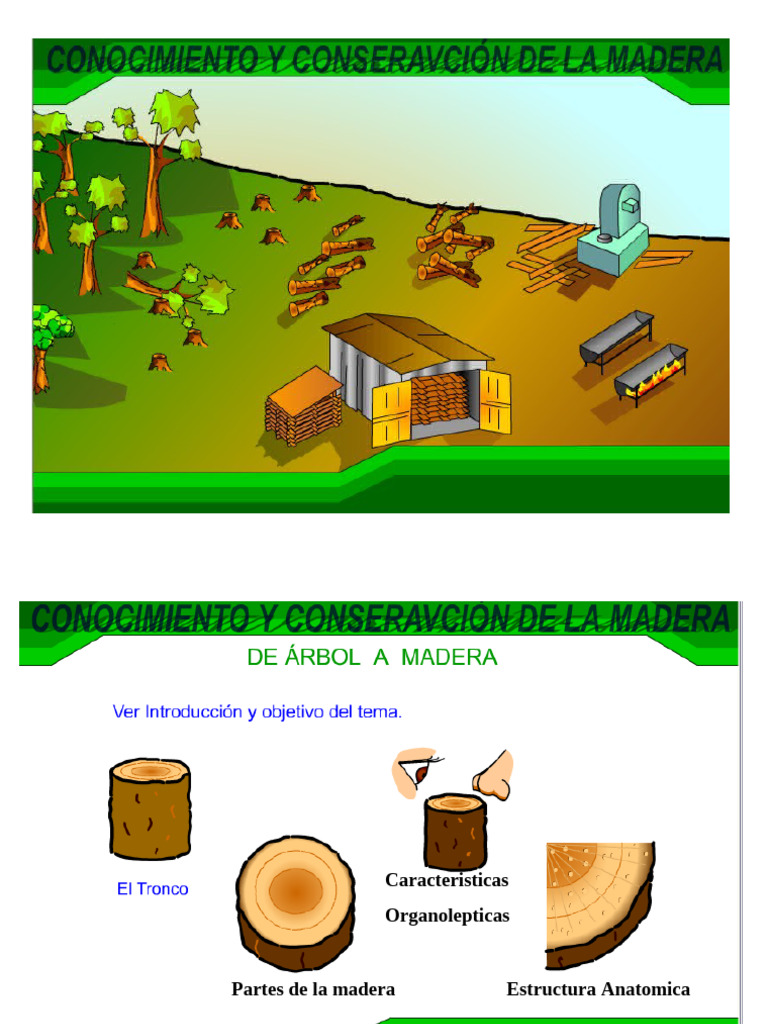 Conocimiento y Conservacion de La Madera | PDF