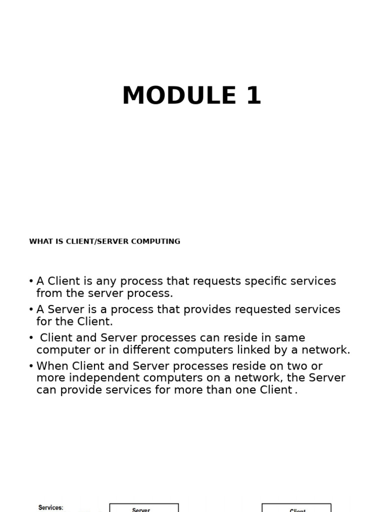 Module 1 Client Server | PDF | Security | Computer Security