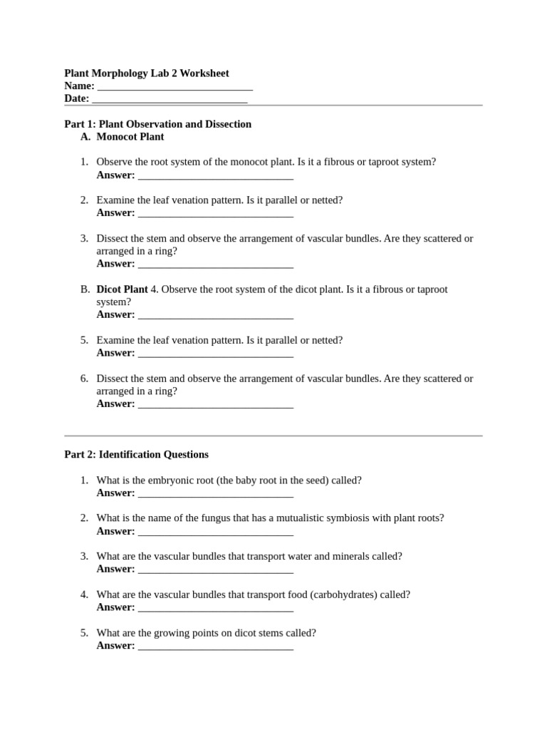 Plant Morphology Lab Worksheet | PDF