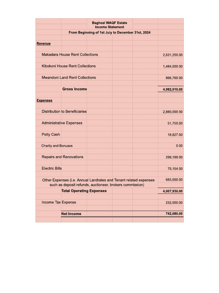 Financial Report Sample | PDF
