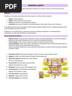 Arco de Riolano | PDF | Tinción | Anatomía