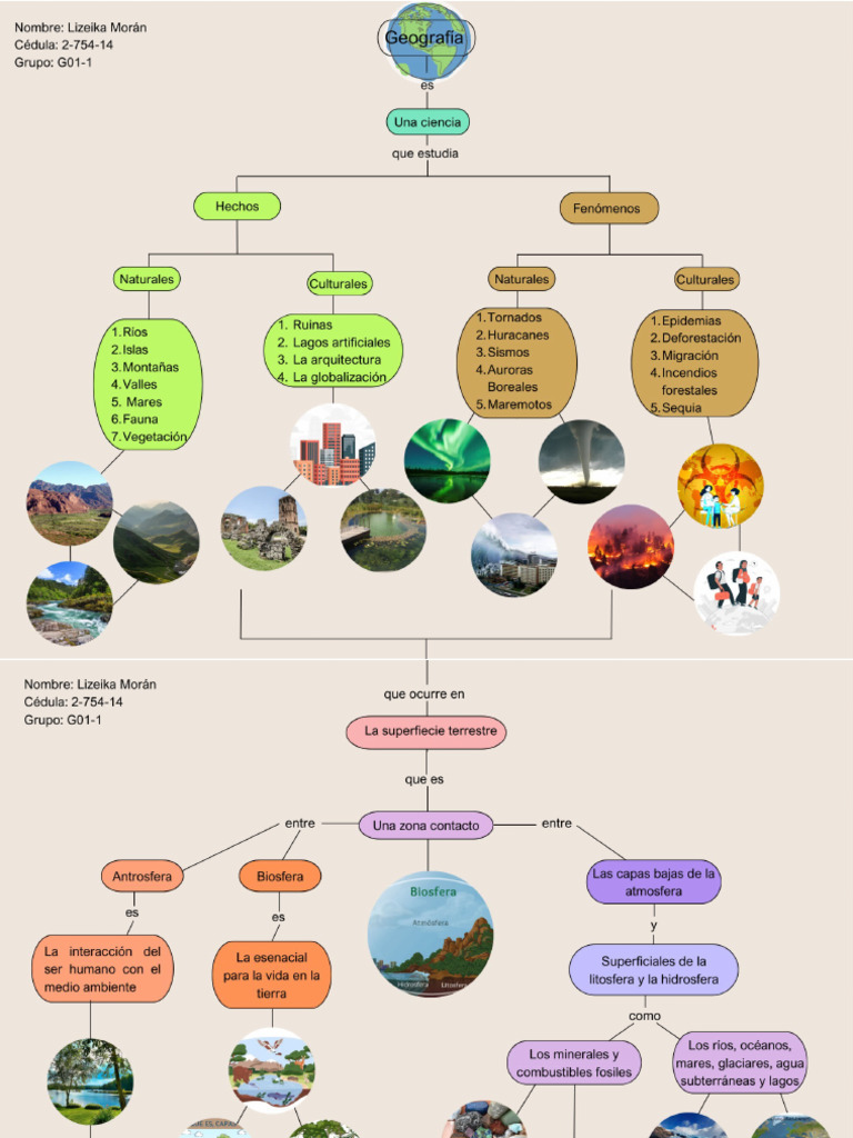 Mapa Conceptual #1 | PDF