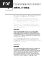 Samson Notes ALL IN ONE | PDF | Immune System | Axon