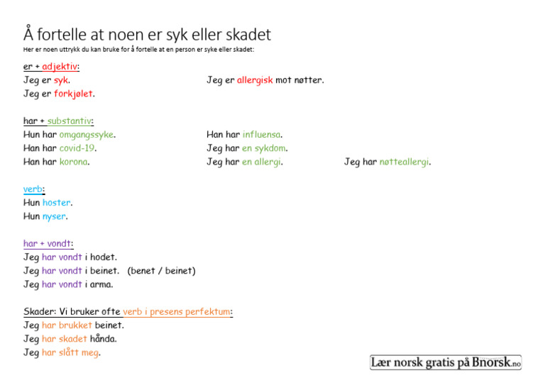 HELSE - Ord Og Uttrykk - Hvordan Fortelle Om at Noen Er Syk Eller Skadet | PDF