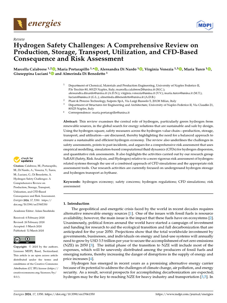 Hydrogen Safety: Production to Risk Assessment | PDF | Renewable Energy ...