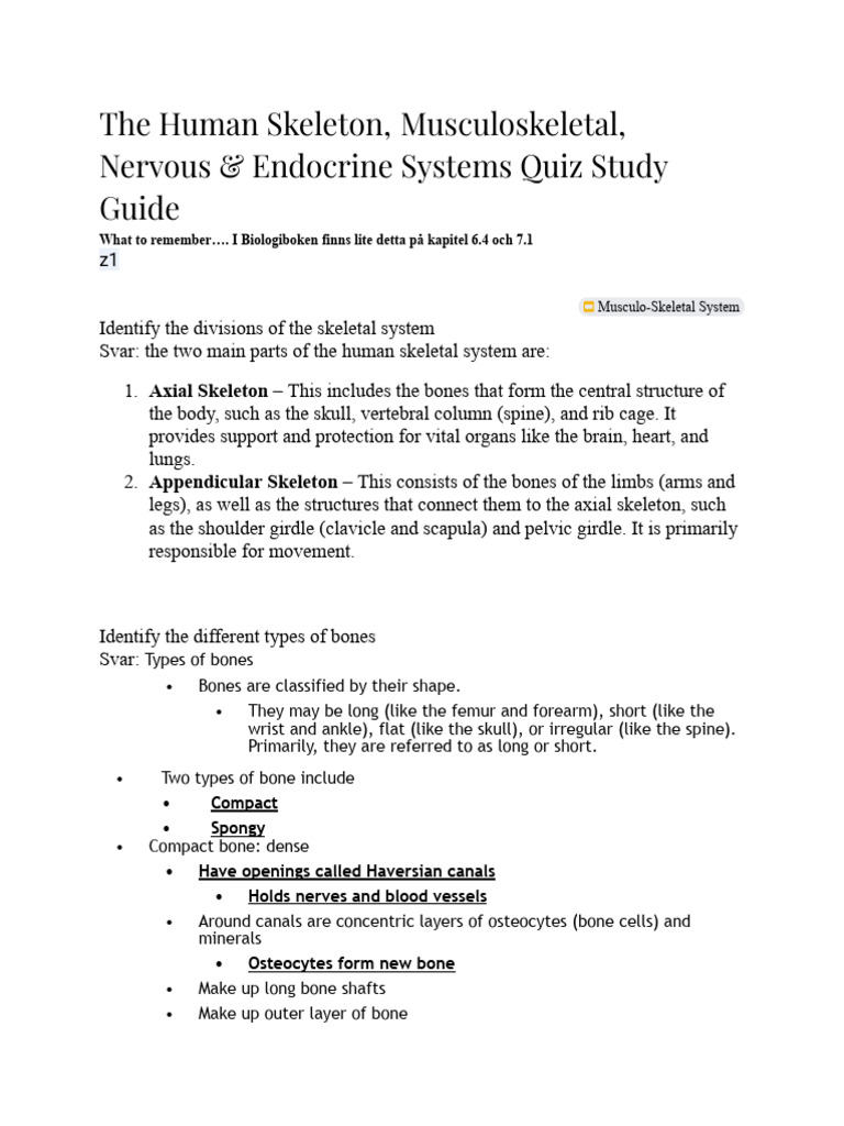 Human Skeleton and Systems Study Guide | PDF | Nervous System ...