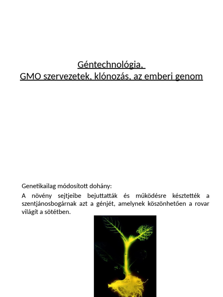 Géntechnológia GMO, Klónozás, Emberi | PDF