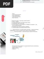 El Tratamiento Farmacológico para Escherichia Coli | PDF