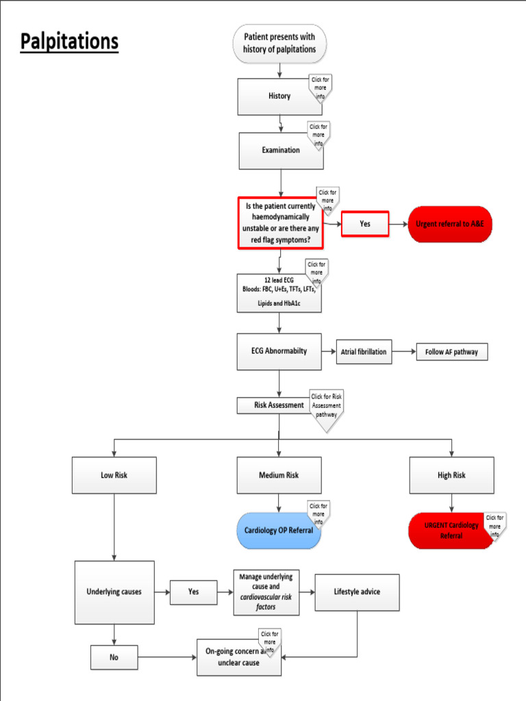 Palpitations-V9 | PDF | Cardiology | Heart