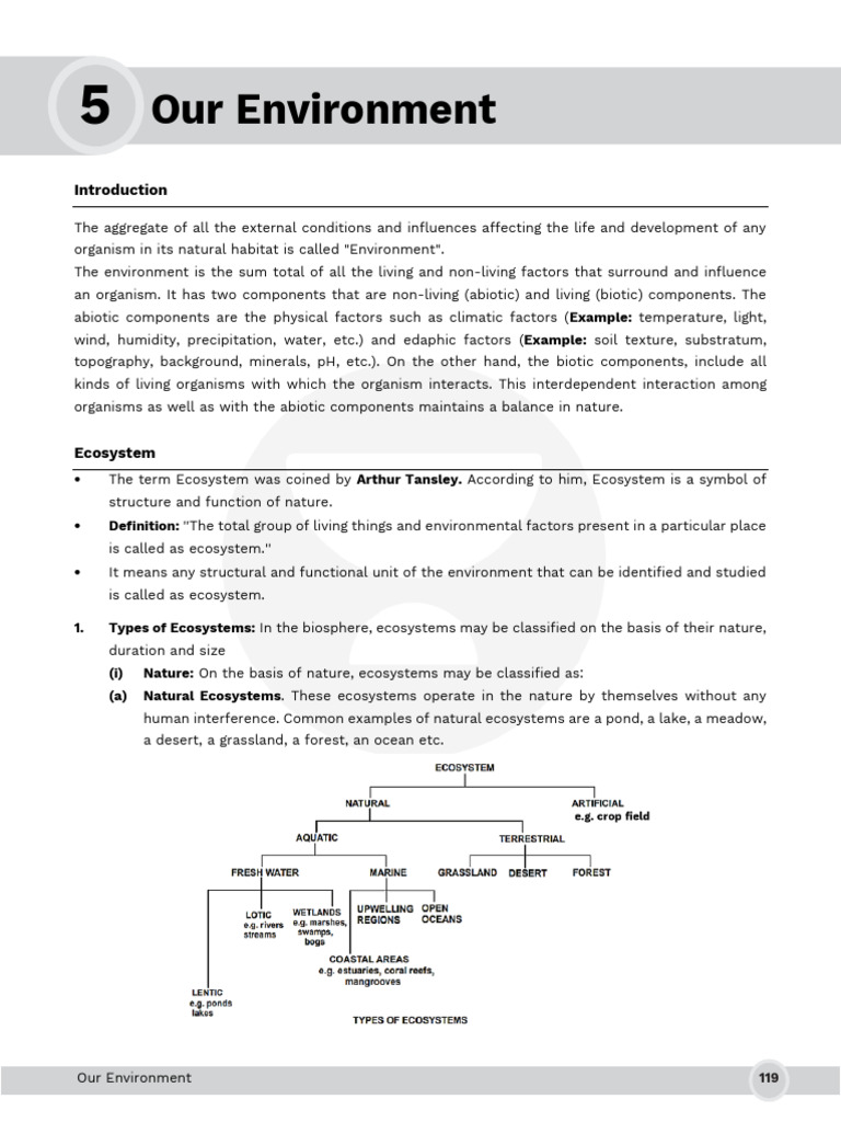 Our Environment | PDF | Food Web | Ecosystem