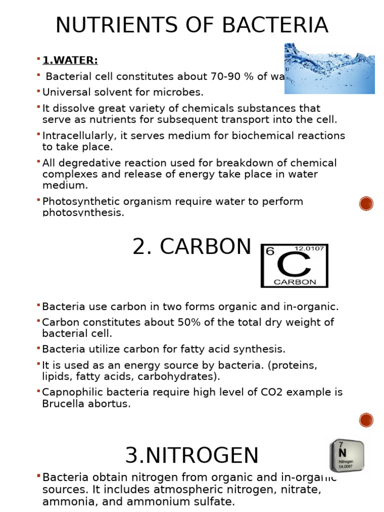 Essential Nutrients for Bacteria Growth | PDF | Bacteria | Acid