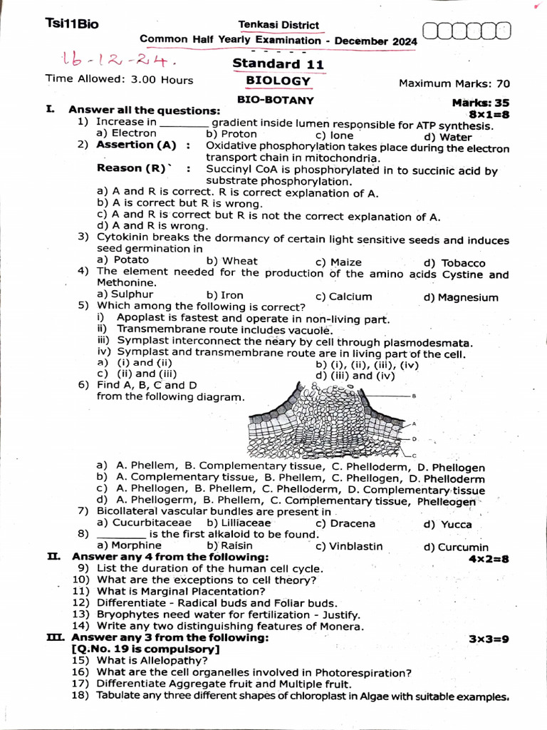 11th Biology Half Yearly Exam 2024 Original Question Paper Tenkasi ...