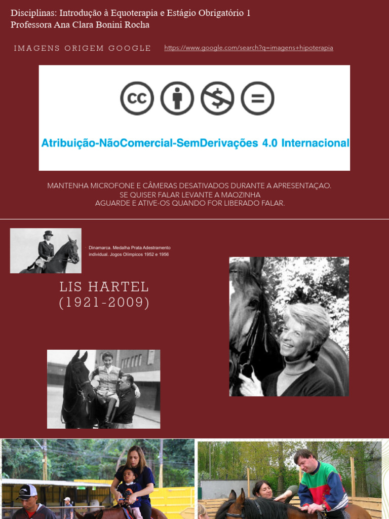 Hipoterapia Resumo_AULA1 | PDF