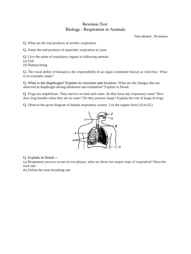 Class Test: Animal Respiration Concepts | PDF