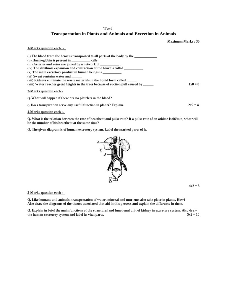 Transportation and Excretion Test Paper | PDF