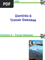 Estomas e Plastídeos: Estrutura e Função | PDF | Fotossíntese | Estoma